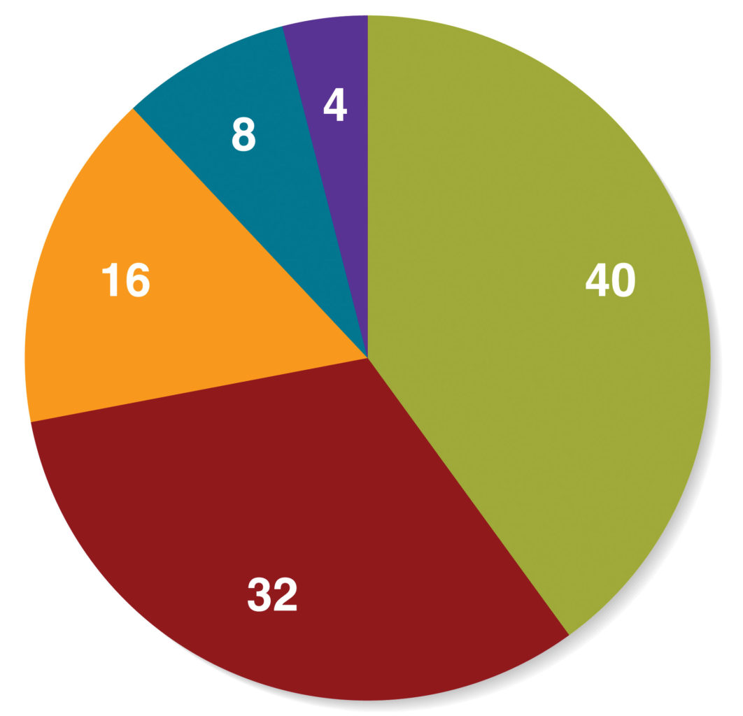Children's Ministry's Impact on Your Church Growth