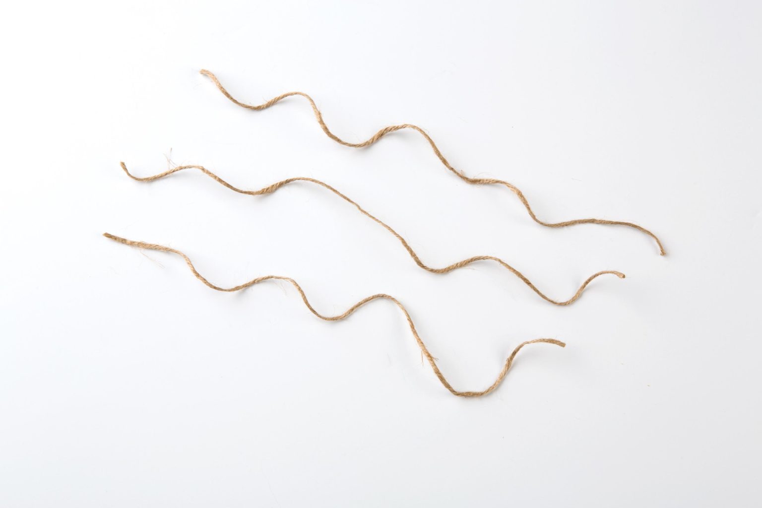 10 Holy Week Activities That Are Wholly Focused on Jesus