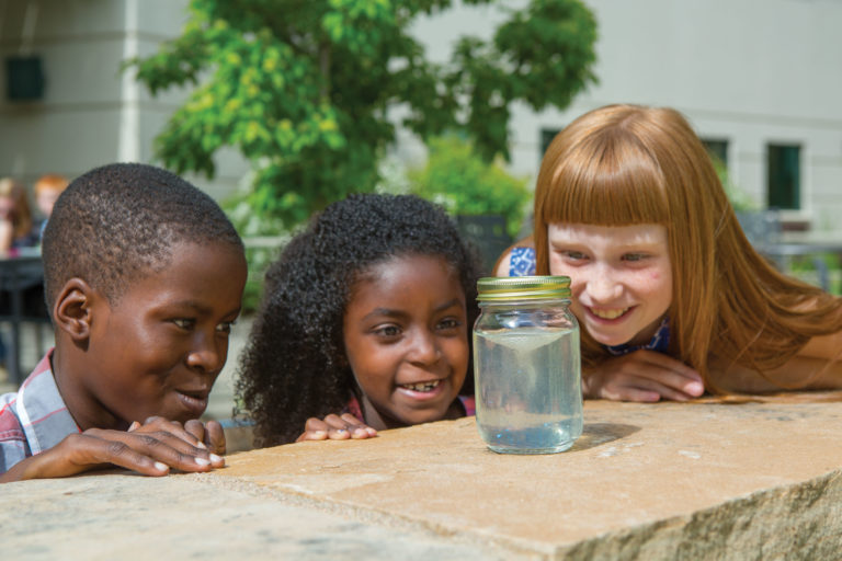 10 Summer-Friendly Ways to Experience God Through Creation